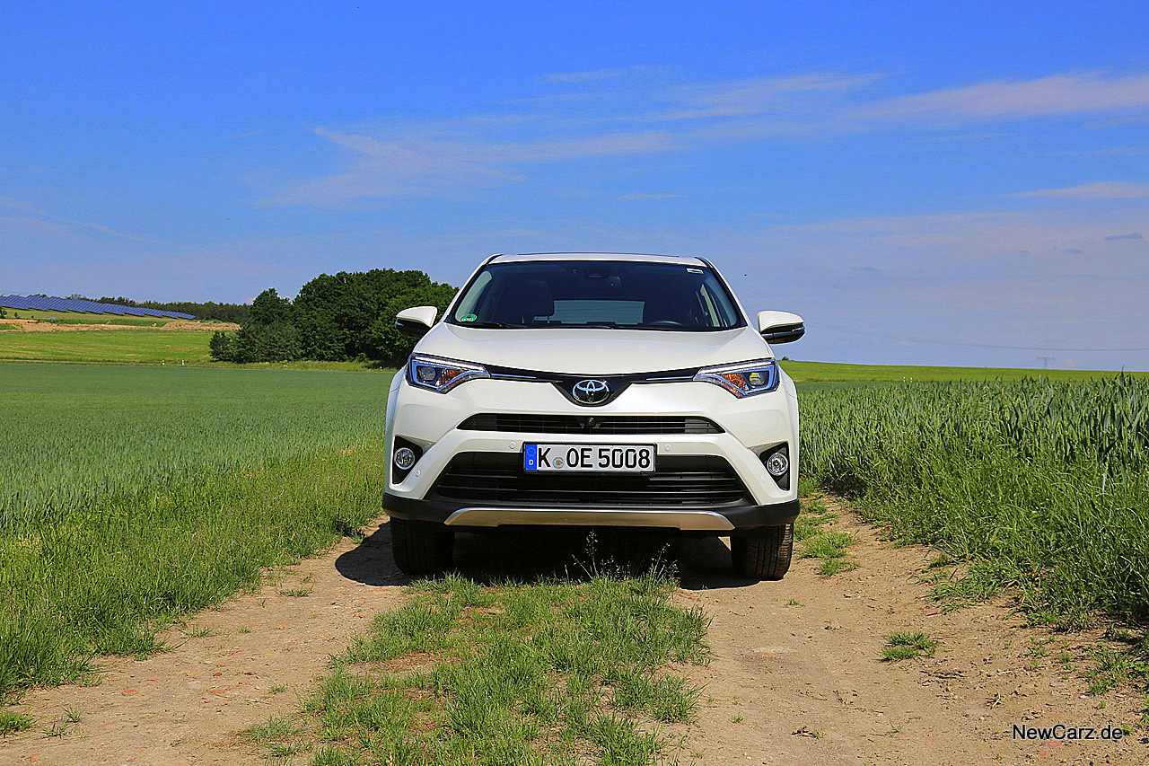 Toyota RAV4 Modell 2016 - RAV and not rough - NewCarz.de